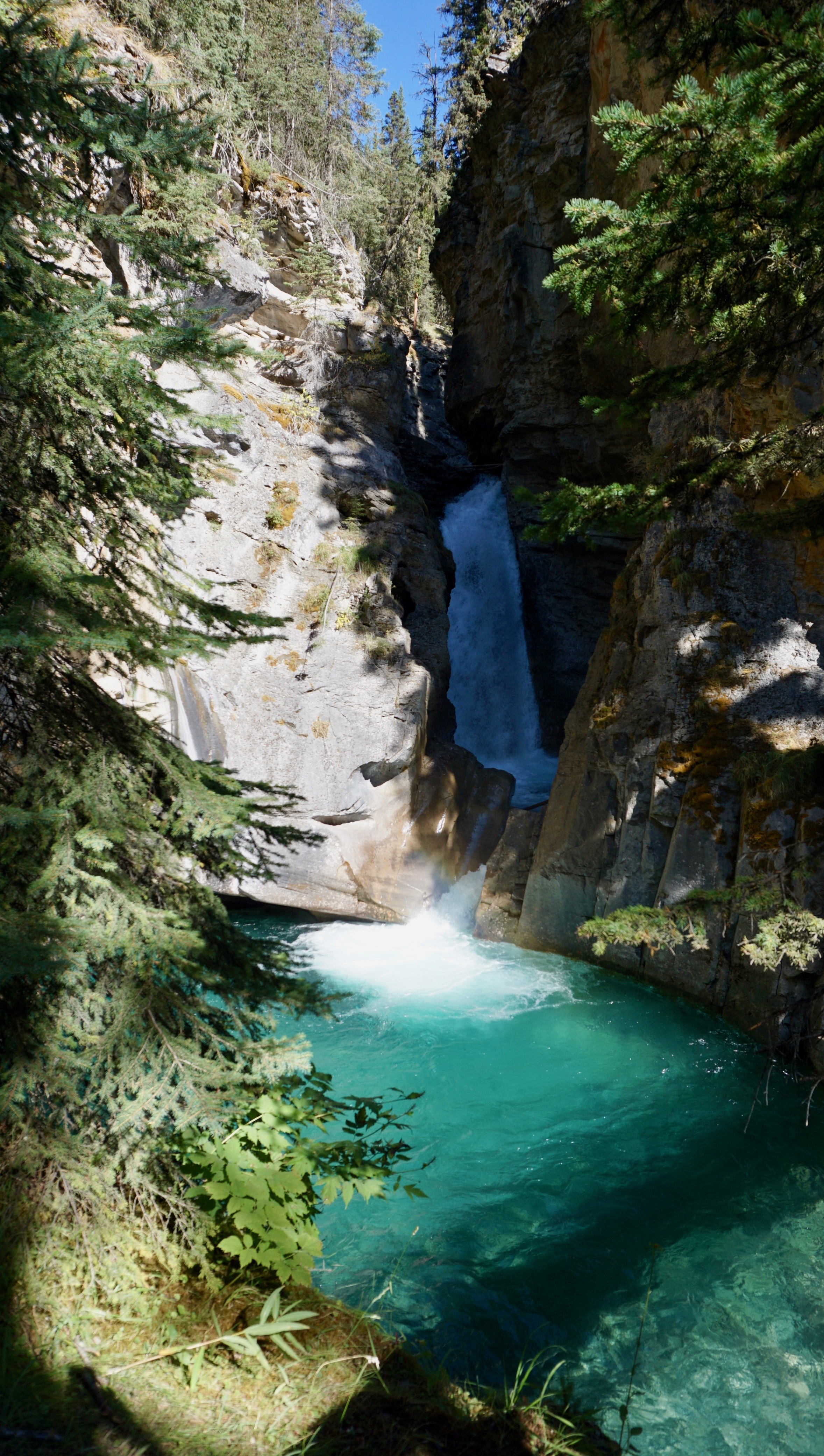 One (fast paced) Day in Banff – Wanderlust and Wildlife